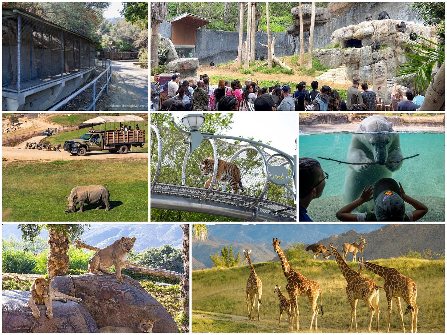 The Evolution of Zoos - by JScott MItchell