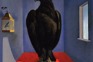 Ask Polly | Heather Havrilesky | Substack