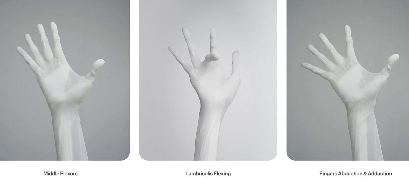 🖐19 Robotic Hands Startups to Watch