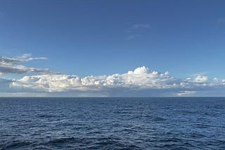 Memex 1.1 | John Naughton | Substack