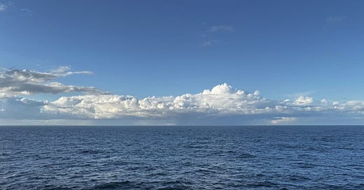 John Naughton | Substack