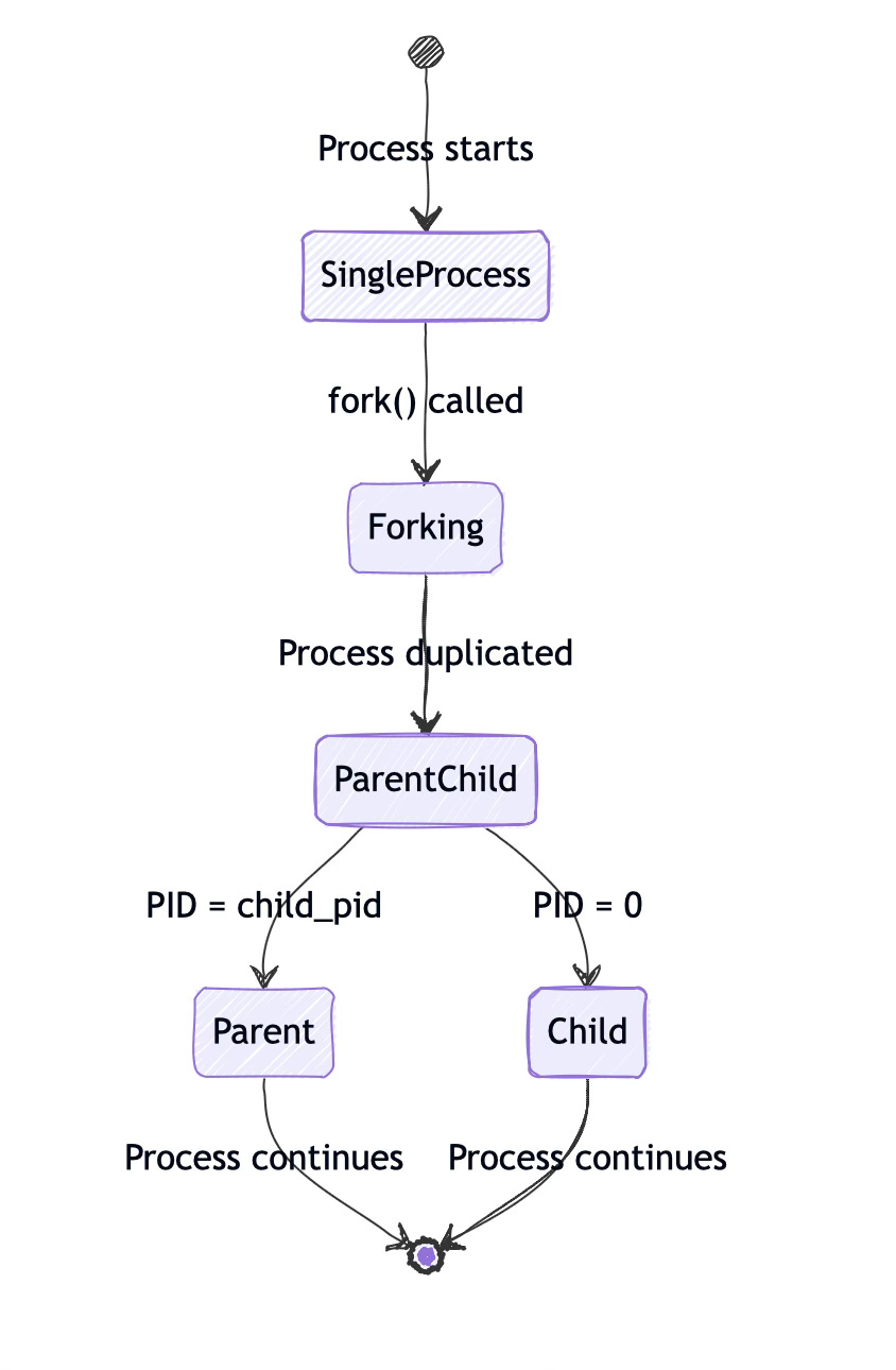 Fork() and File Descriptors: The Unix Gotcha Every Developer Should Know