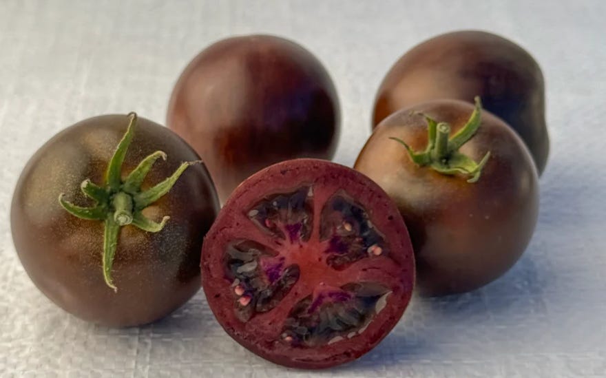 2025 Tomato Review Show...And More!