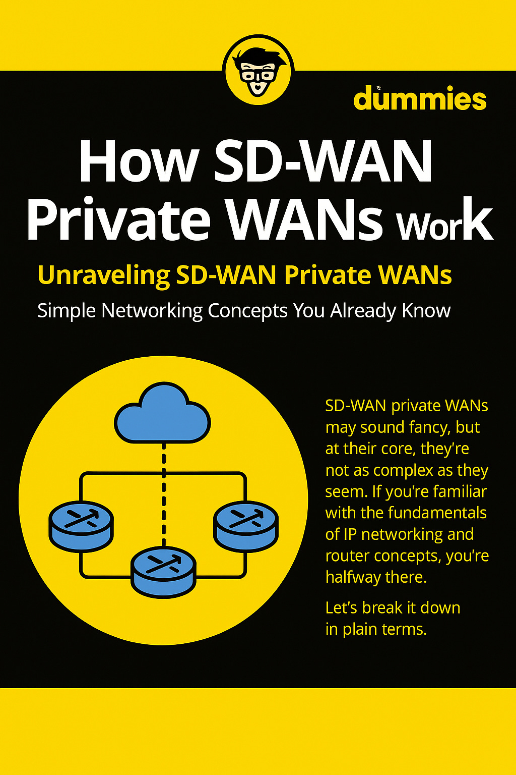 🛣️How Smart SD-WAN Private WANs Work (For the Dummies)🤓