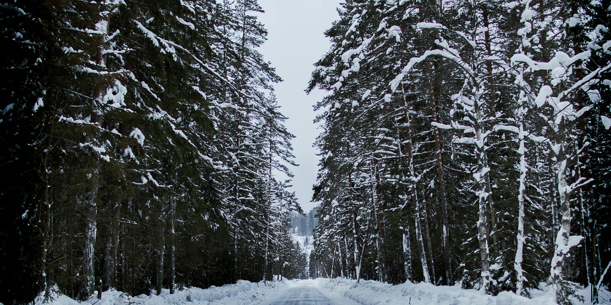 Saratoga Lake's salt problem looks like others