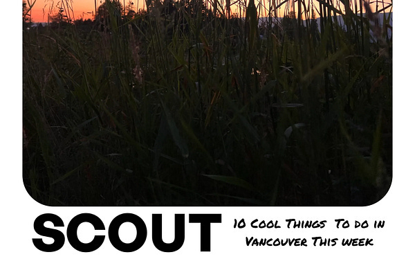 Scout Magazine | Michelle Sproule | Substack