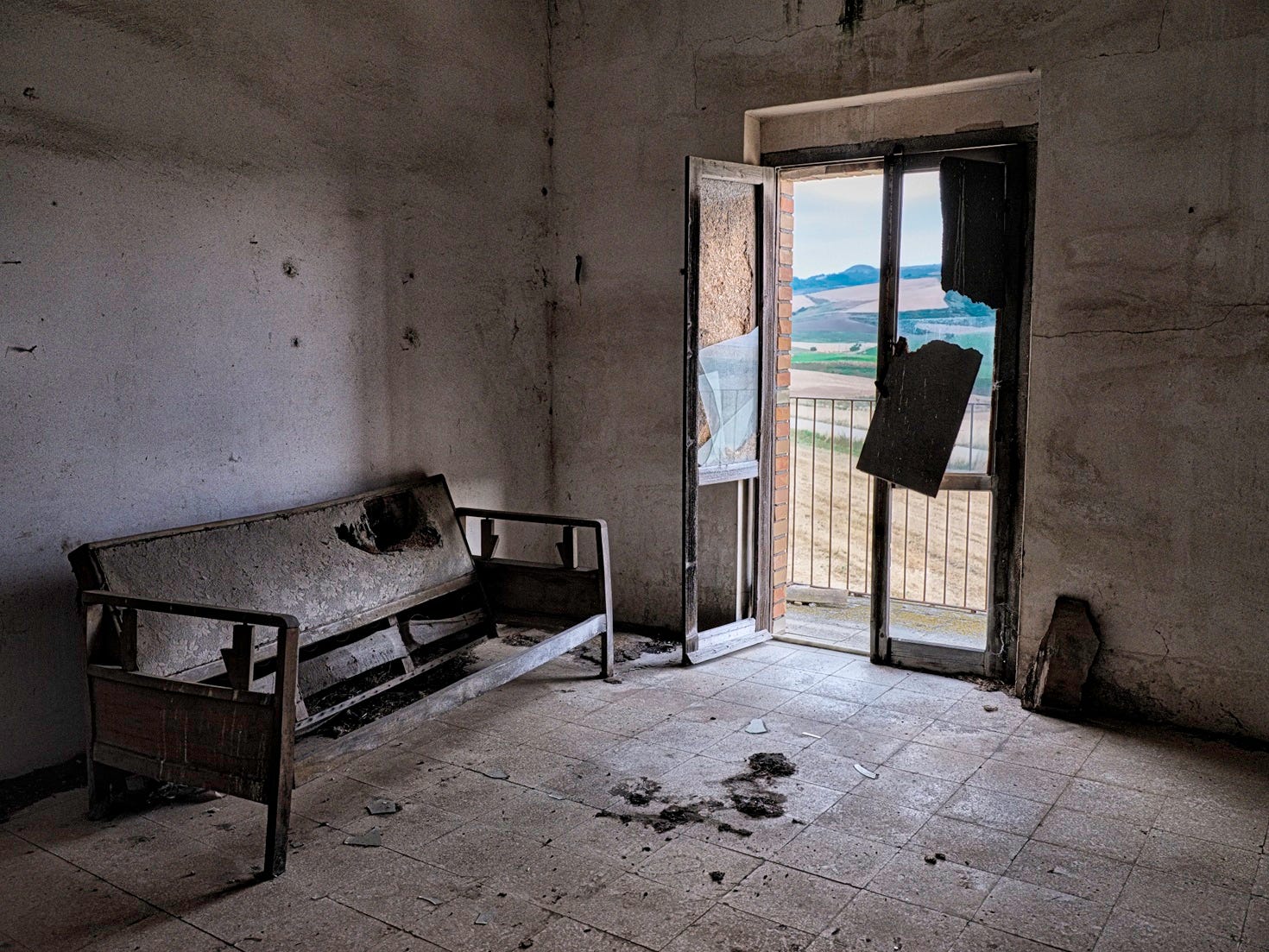 Home in Absence: Steven Seidenberg's Vision. The interview