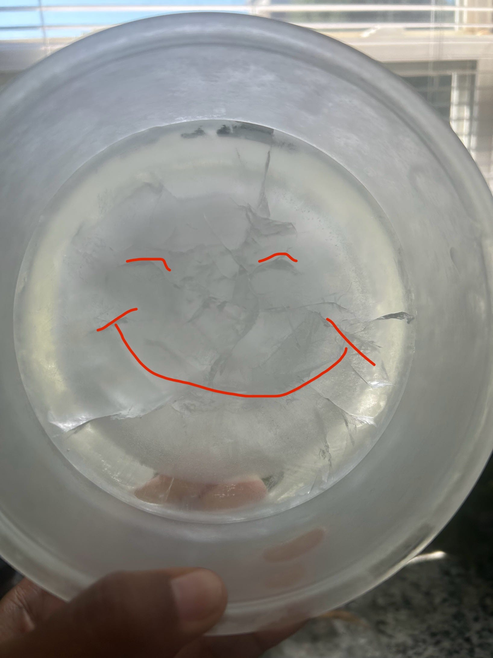 The Speak Freezy Challenge™ :: "L-O," "I SPY" and a Smiley Face