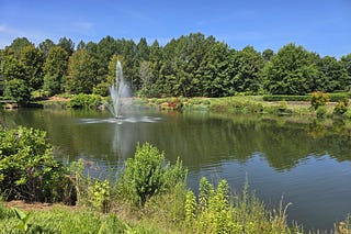 Joe Blogs | Substack