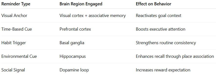 How Reminders Align Your Brain With Long-Term Goals