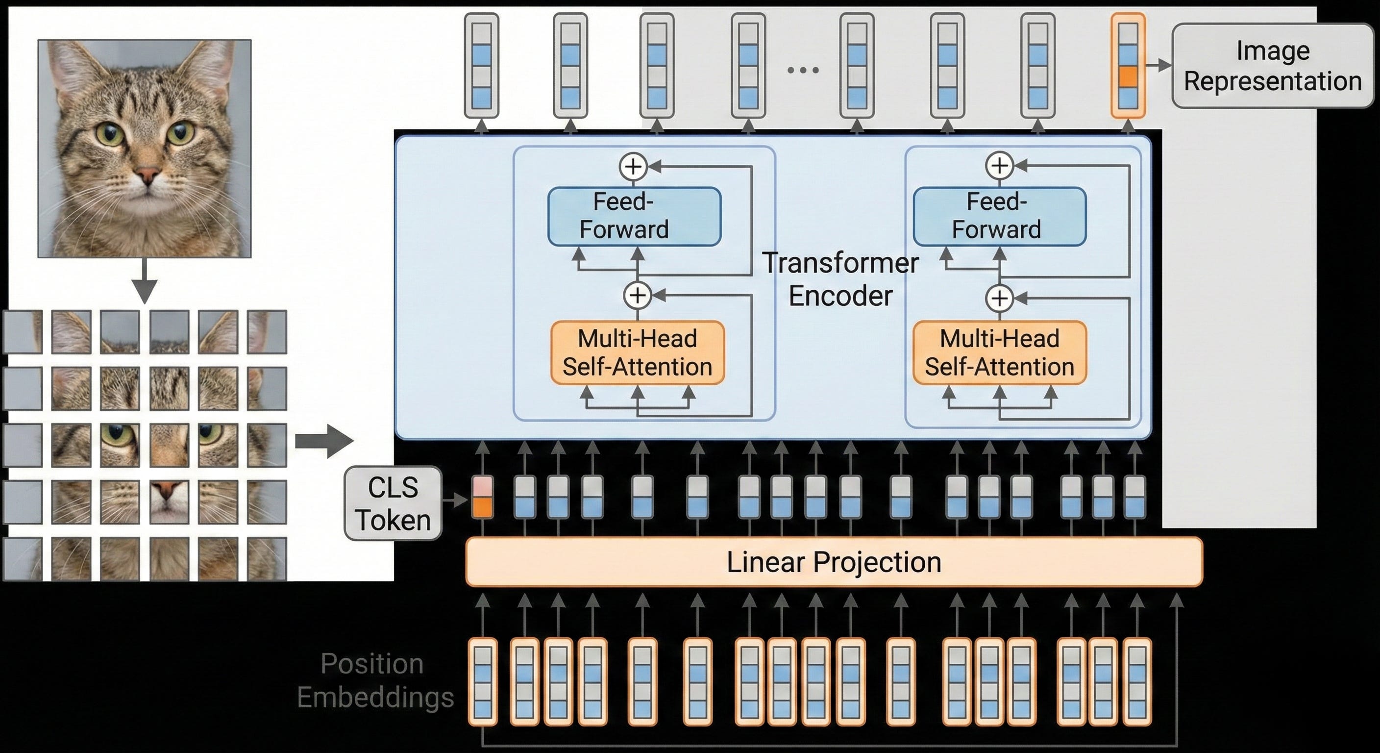 The Architecture of Vision-Language Models