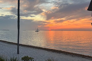 The Weekly Sitrep | Sitreps2Steercos Substack | Substack