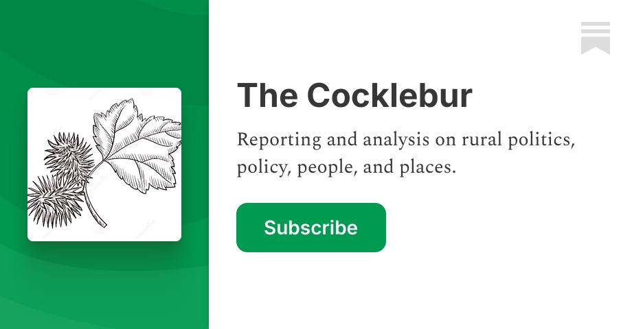 The Cocklebur | Bryce Oates | Substack