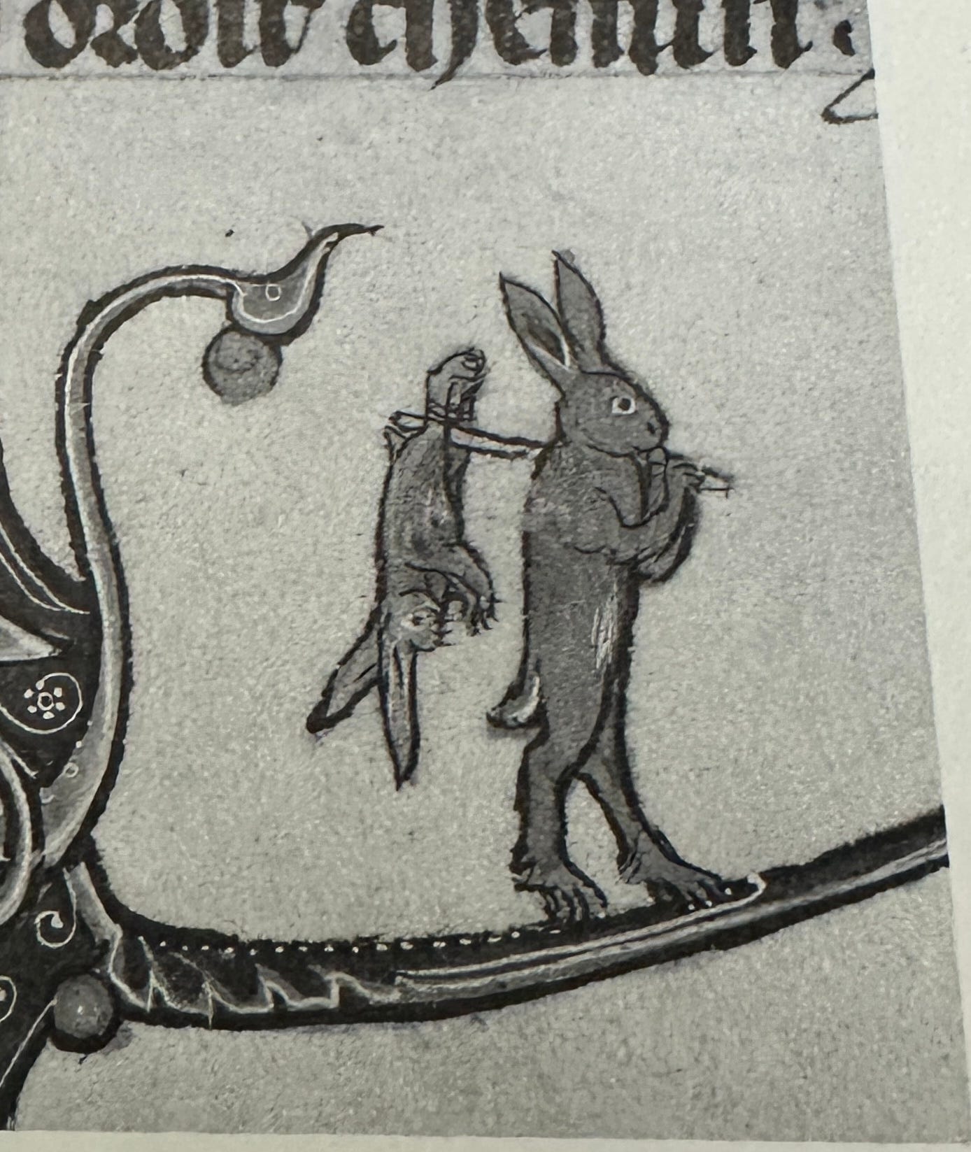 Rabbets & Rabbits: My First ‘Smalls’ - by Katherine Schwarz