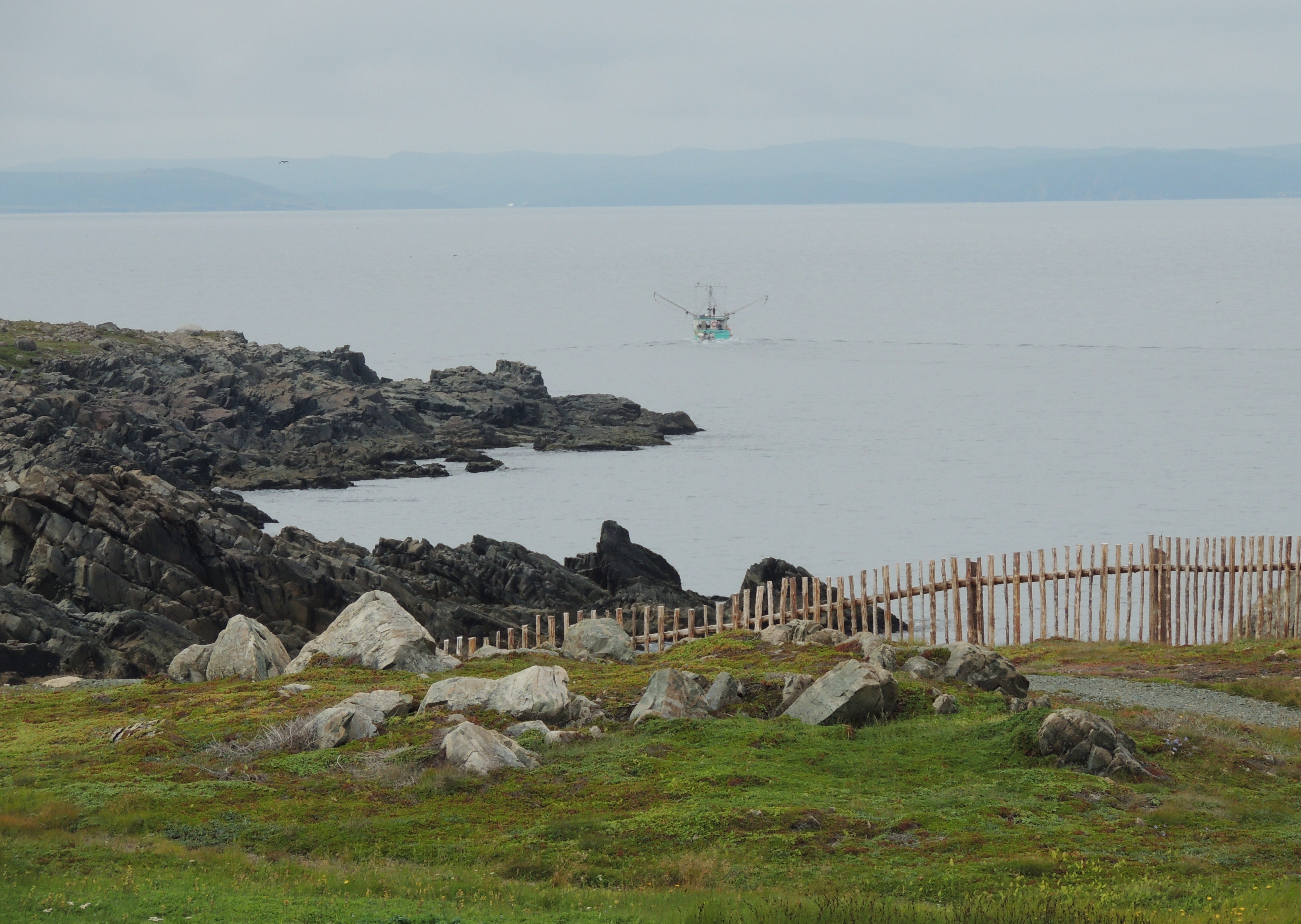 The Beauty of Newfoundland Through my Camera Lens