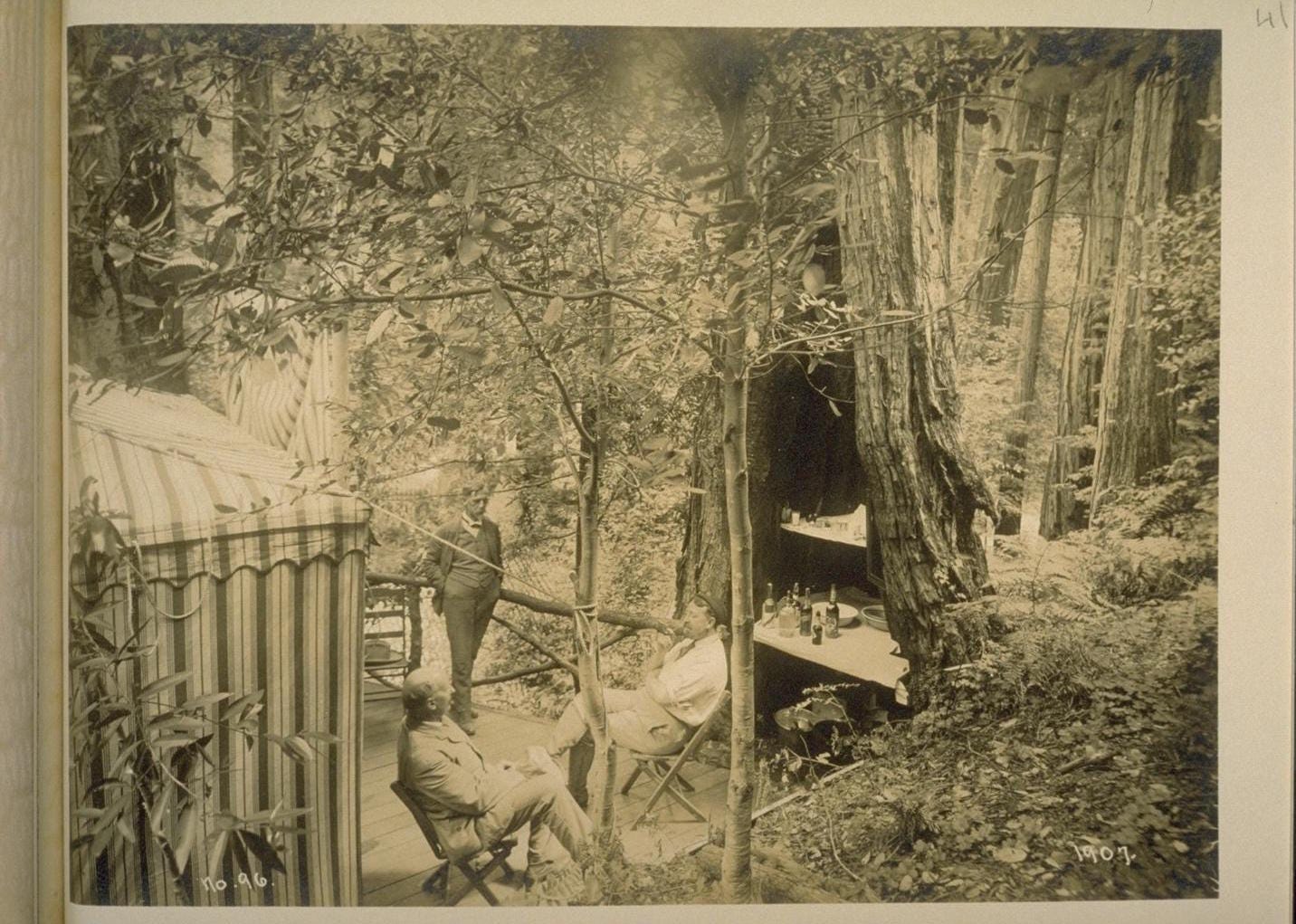 Bohemian Grove: Where Powerful People Gather Each Summer