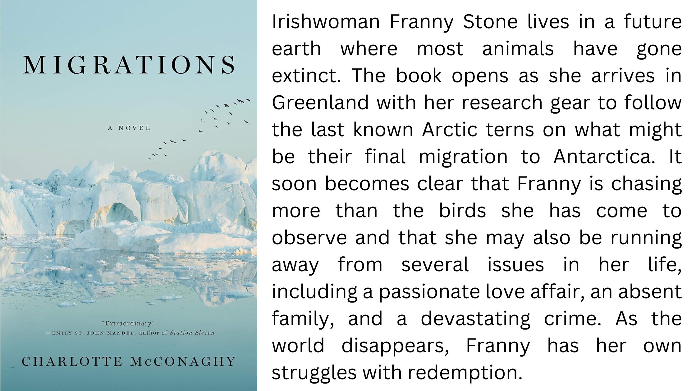 Reading Recs: Winter Reads - by Kate - The Writers' Spot