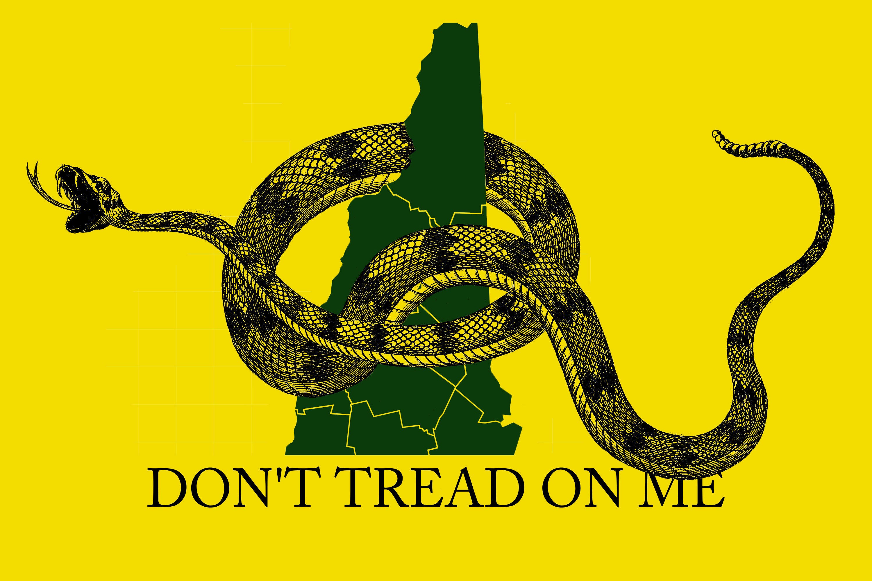 How the Libertarian Party De-MAGAfied Itself