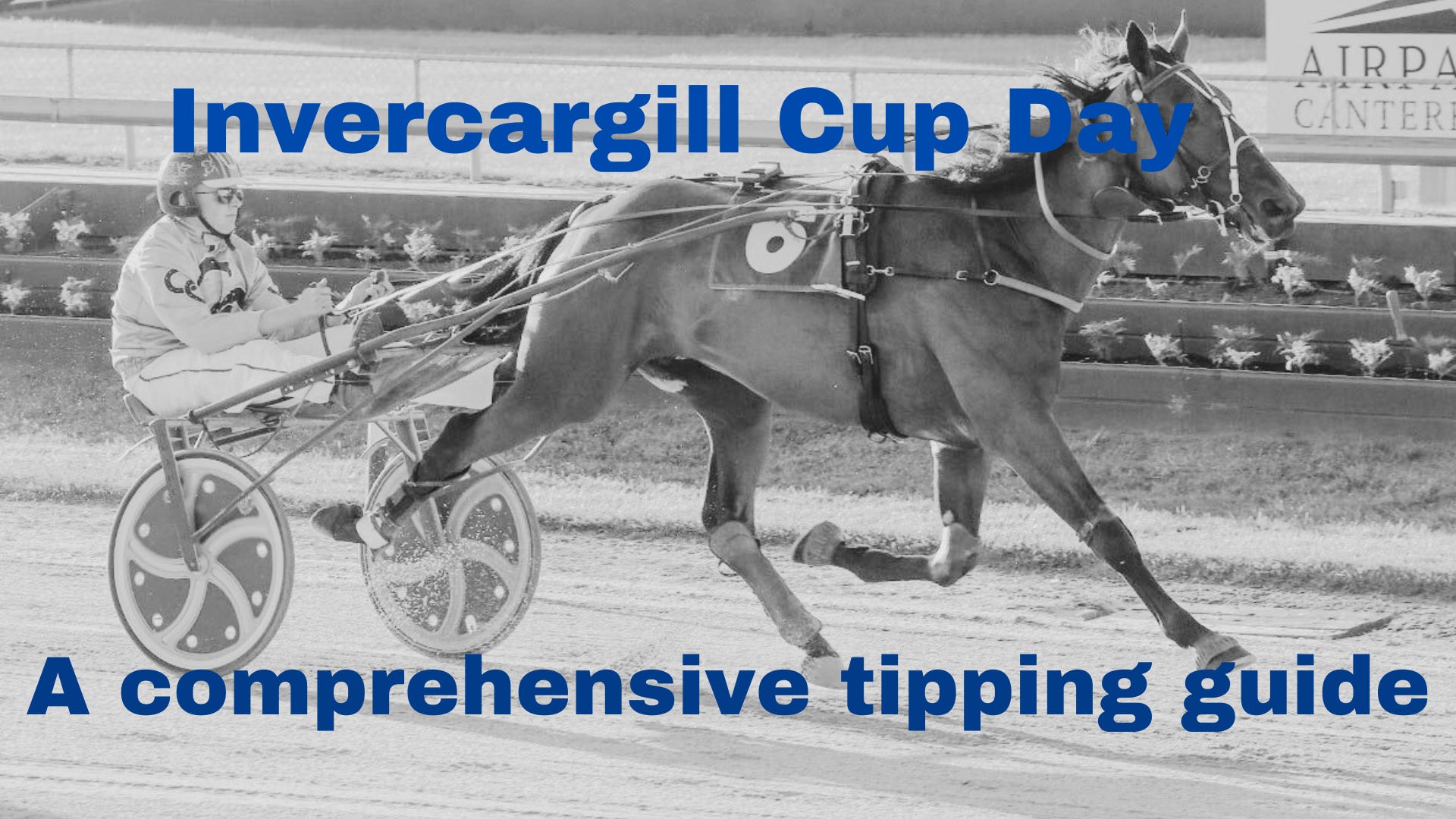 Invercargill Cup Day: Looking for the top picks?