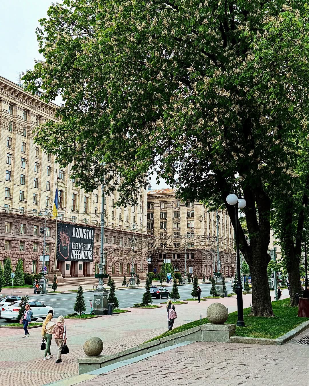 How chestnut trees became a symbol of Kyiv
