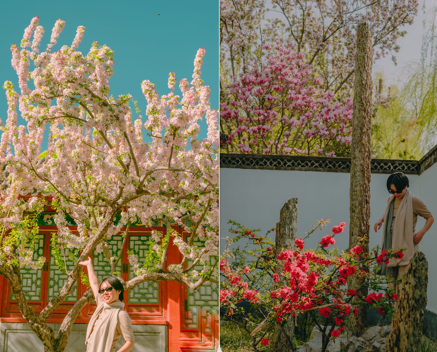 2025 Photo Recap : Places We Visited in Beijing