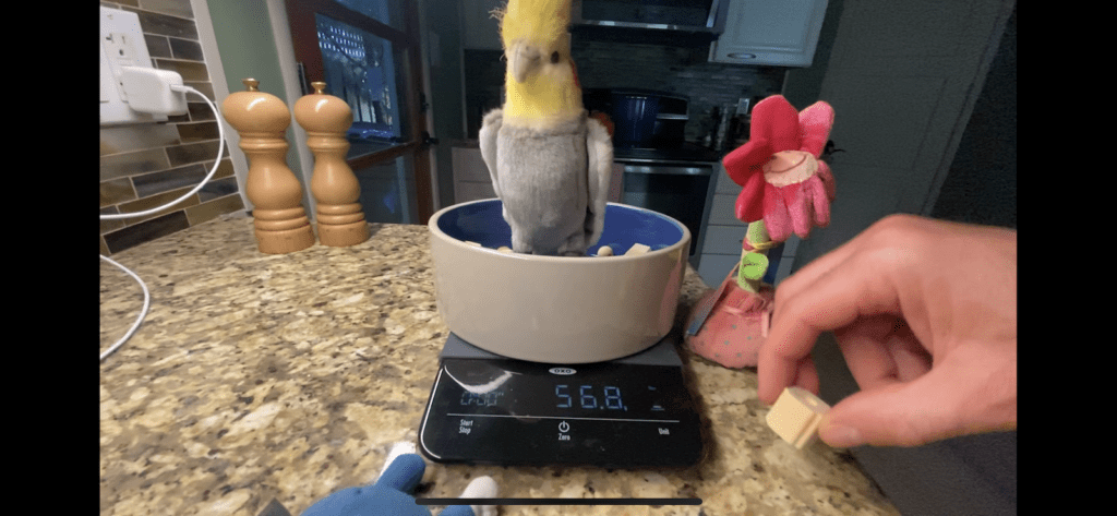Weighing many birds with the help of a camera