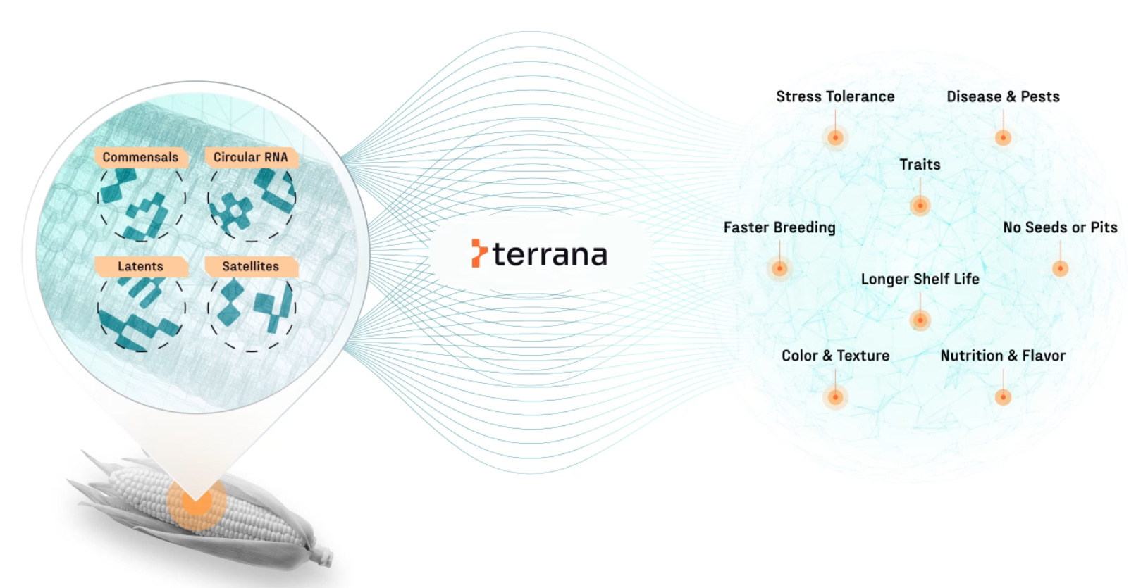 'Programmable Plant Vaccines' - Founder Of Moderna Launches Company To ...