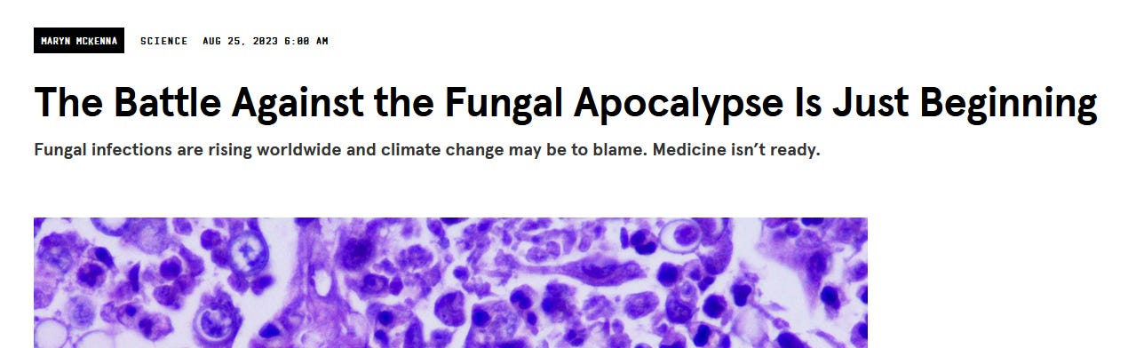 A Fungal Non-Apocalypse - Fear of a Microbial Planet