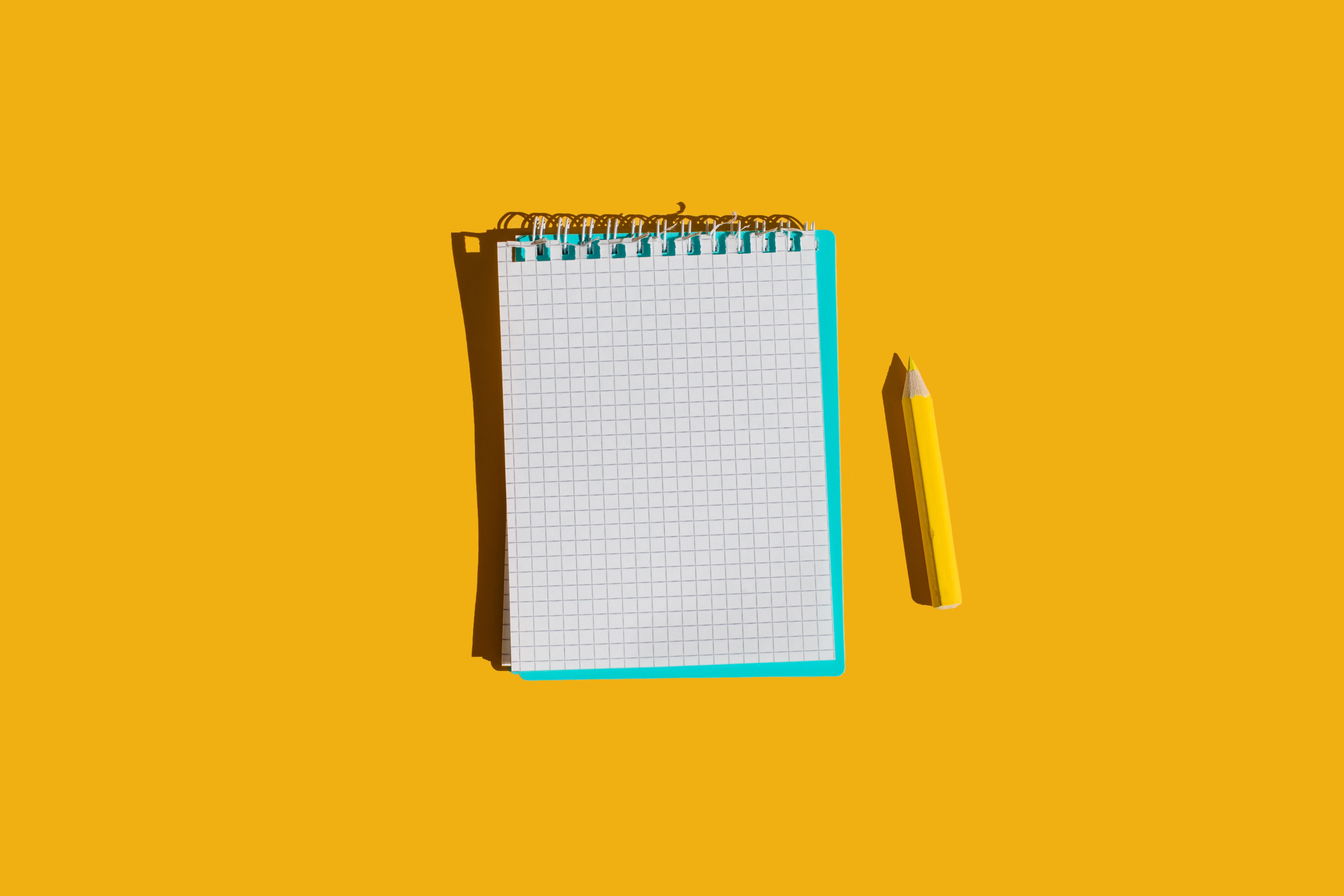 Essay Camp Starts Monday - by Summer Brennan