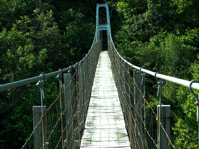 The World Is a Narrow Bridge - by Rabbi Jonathan Kligler