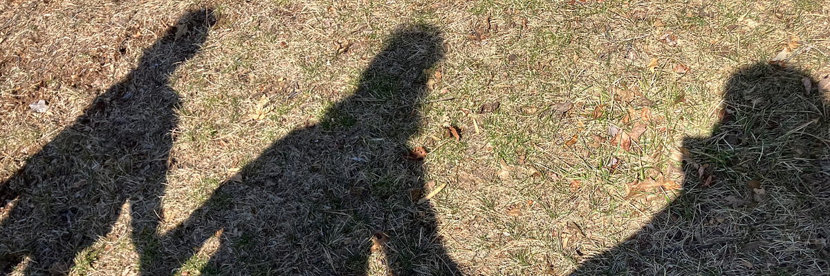 william redfield wisdom