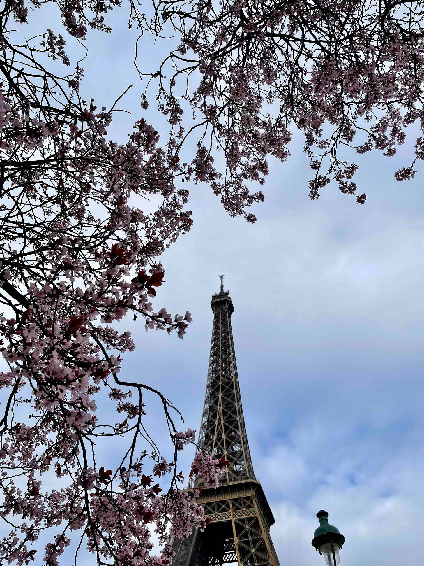 Secret Paris - by Emily - A Week in Paris