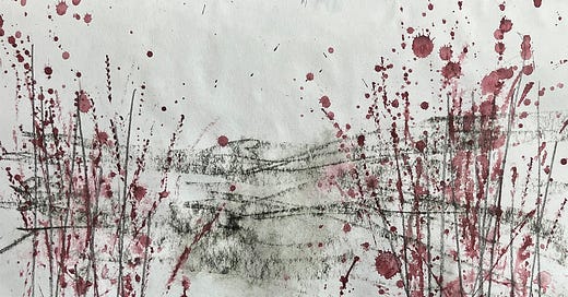 FLOW : Letters from the moss | Michela Griffith | Substack