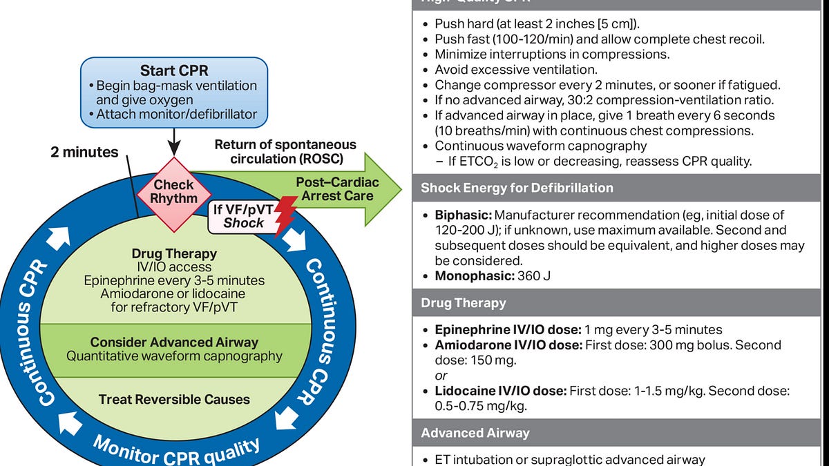 als algorithm ventricular fibrillation