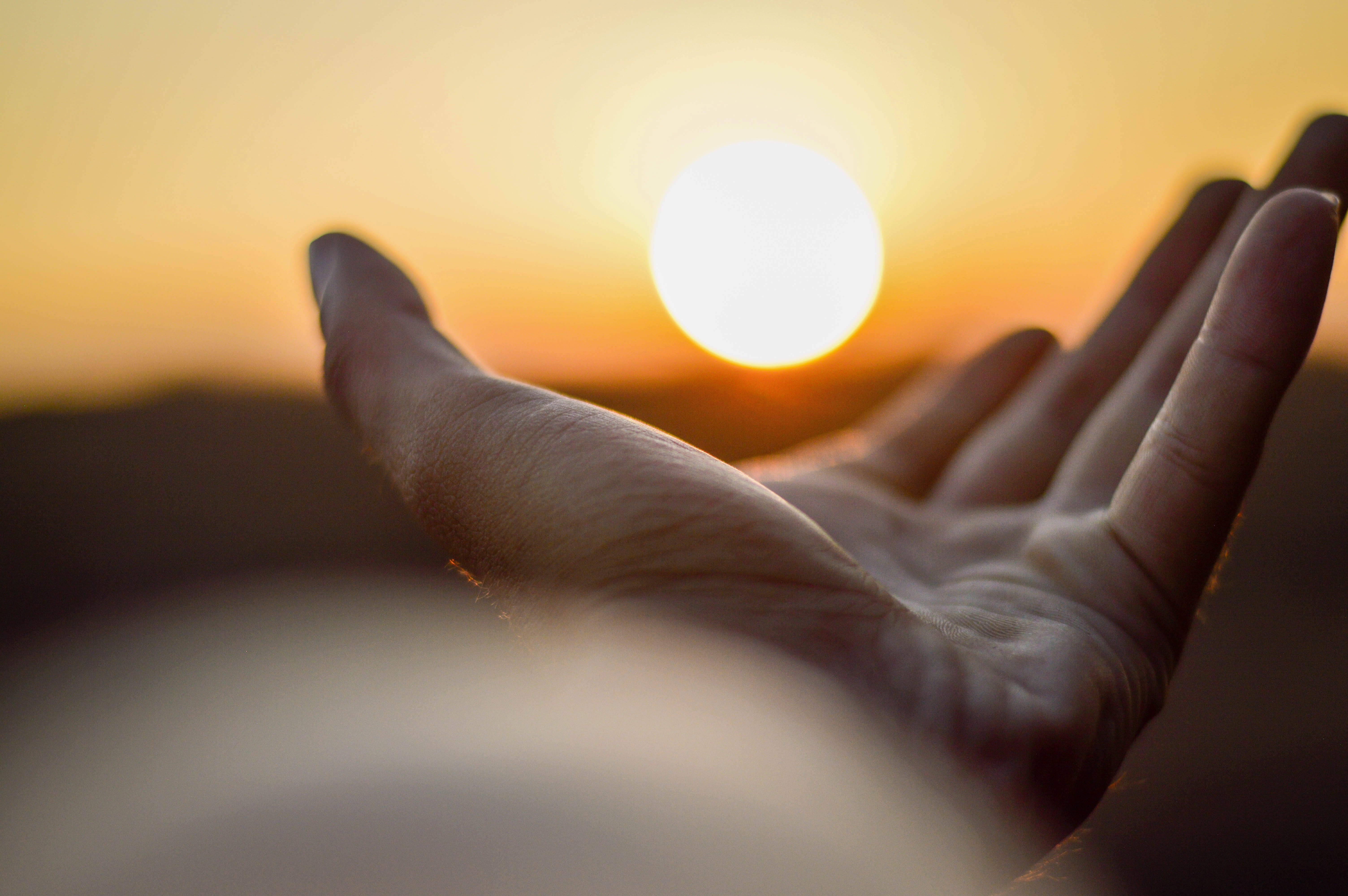Pietism vs. Piety — What’s the Difference?