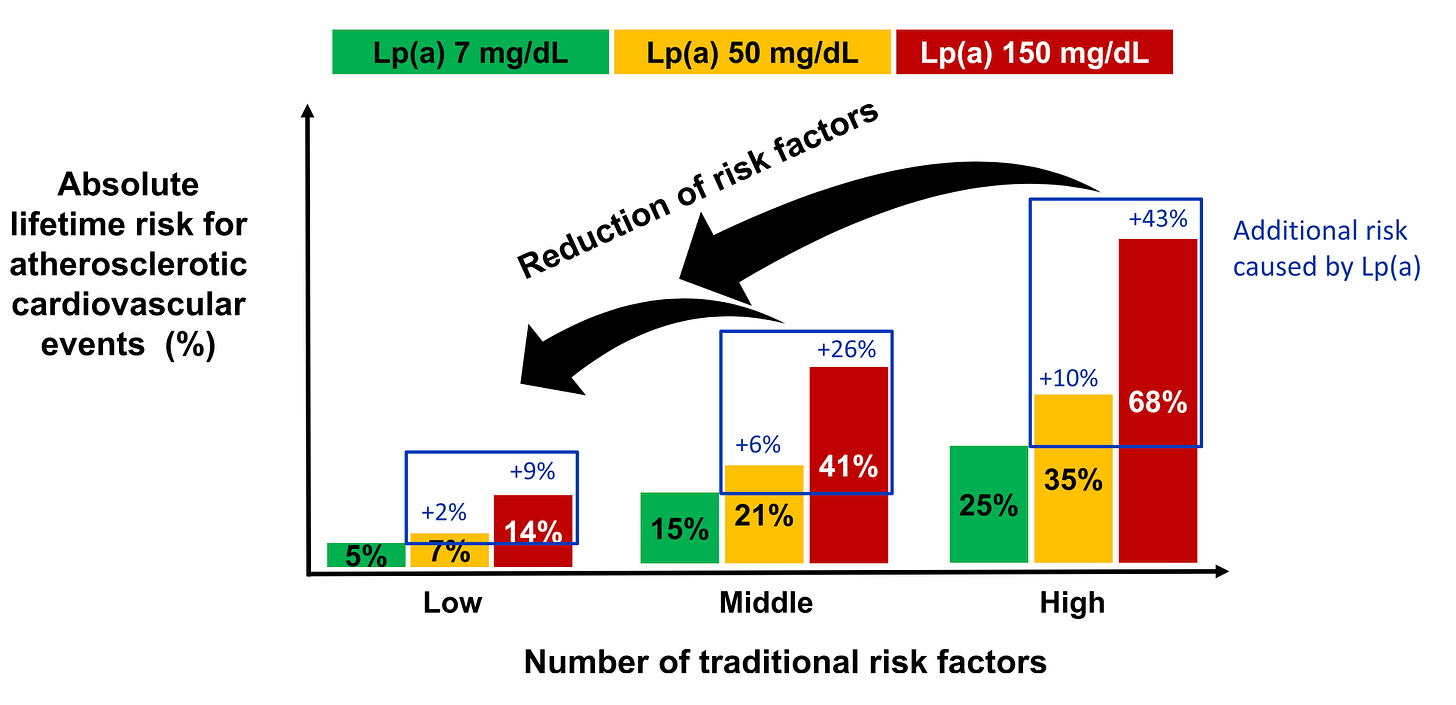 Lp(a) Explained: Genetics, Risk, and What You Can Actually Do