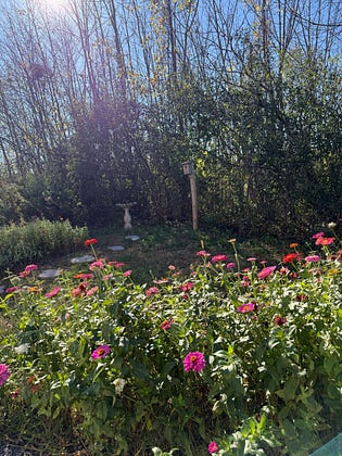 Alexandra Fasulo | Substack