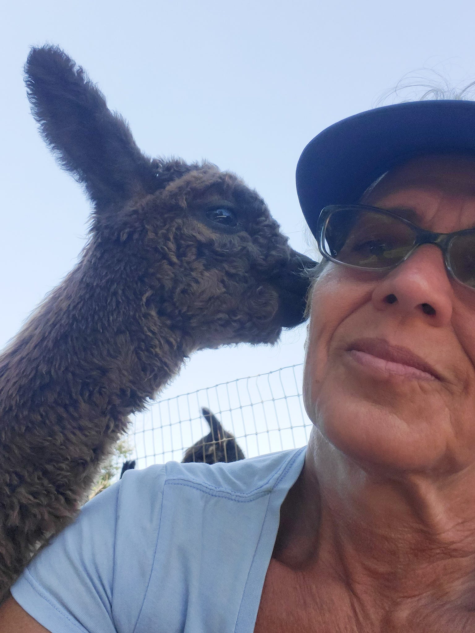 38+ Crias & Counting, Cria Kisses, & Legends of Windy Hill