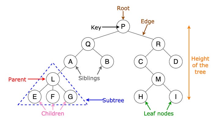 50+ Binary Tree Coding Interview Questions for Experienced Developers