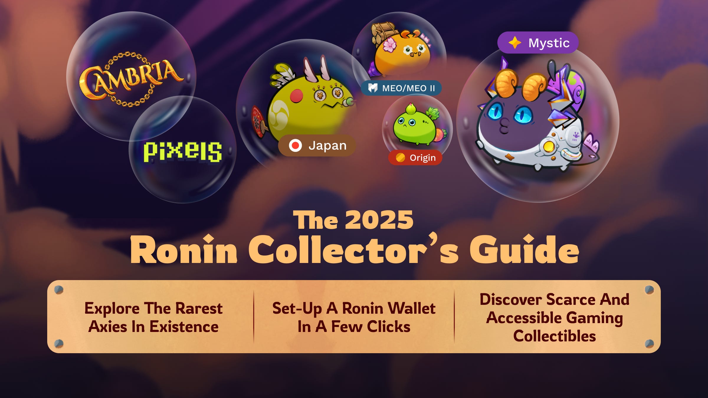 The 2025 Ronin Collector’s Guide - Ronin’s Newsletter