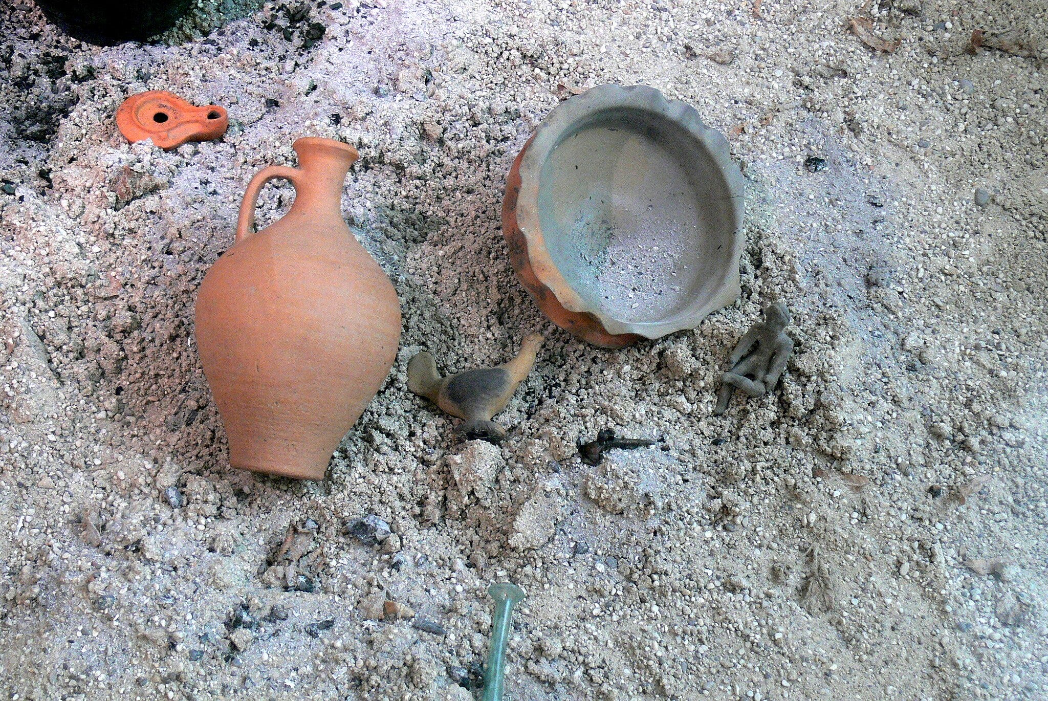 Decorating with Fossils and Artifacts: A Mediterranean Treasure Hunt