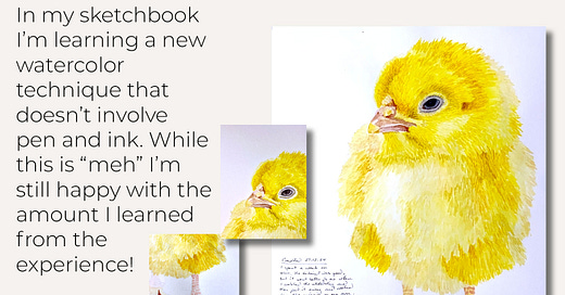 Cricklewood Nature Journal | Susannah Fisher | Substack