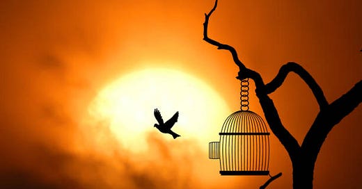 Brent Molnar: Voice of Reason | Substack