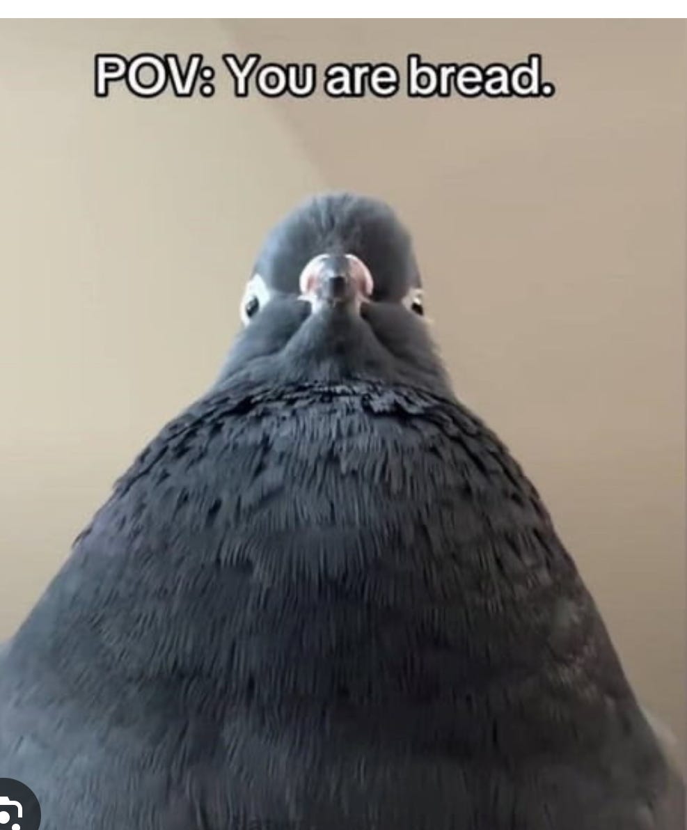 I have ADHD and here’s why I don’t reply to your texts