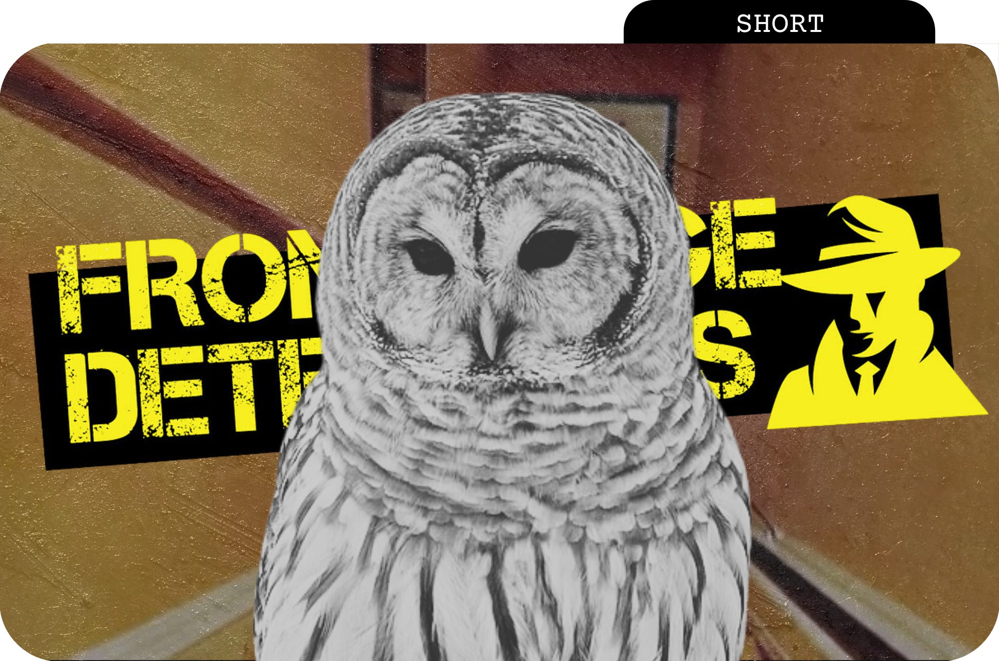 THE OWL DID IT? The Feather That Changes a Murder Case