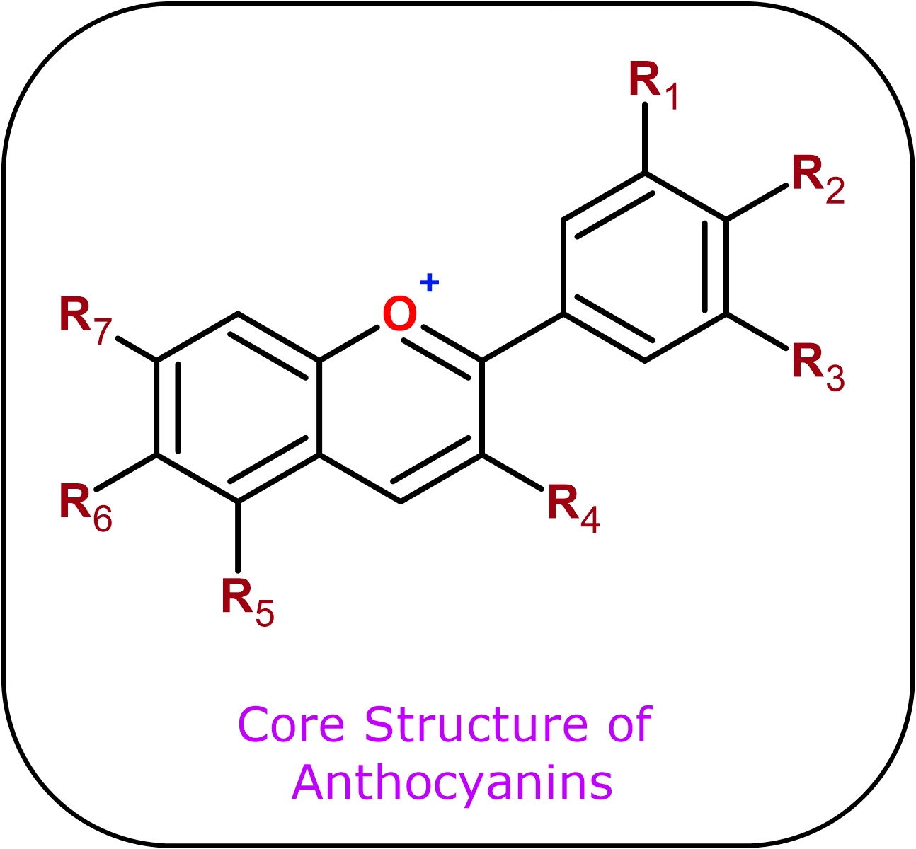 The Chemistry Behind Autumn’s Colors - by John Knight, PhD