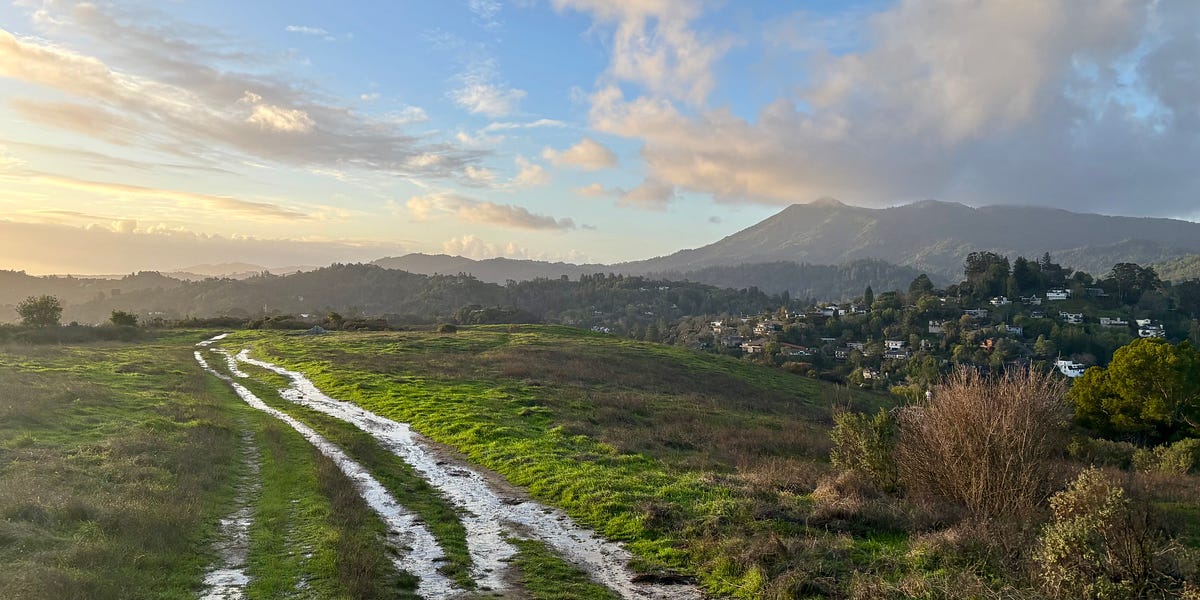 Back to the future - by Jeremi Nuer and Luca Caviness