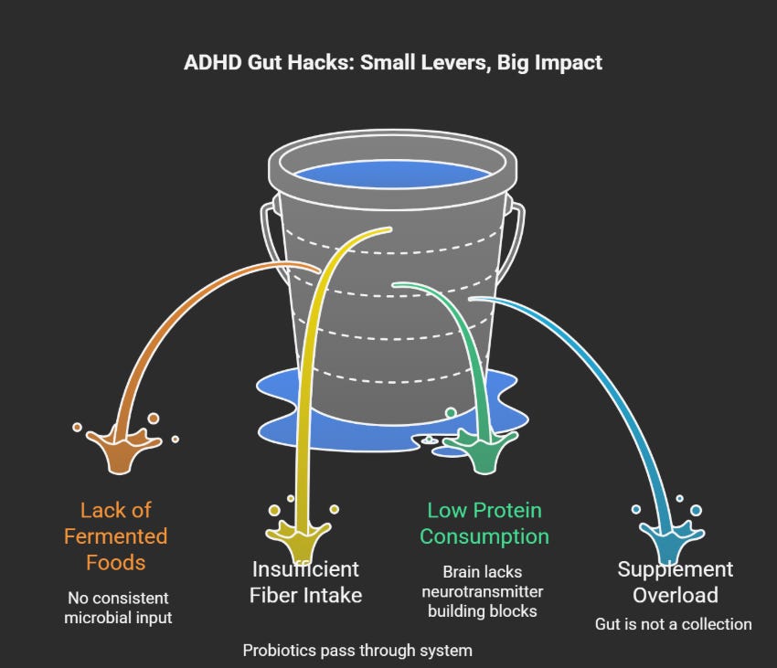 🧠 ADHD & Probiotics: Can Your Gut Really Help Your Brain Focus?