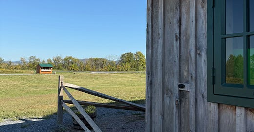 Alexandra Fasulo | Substack