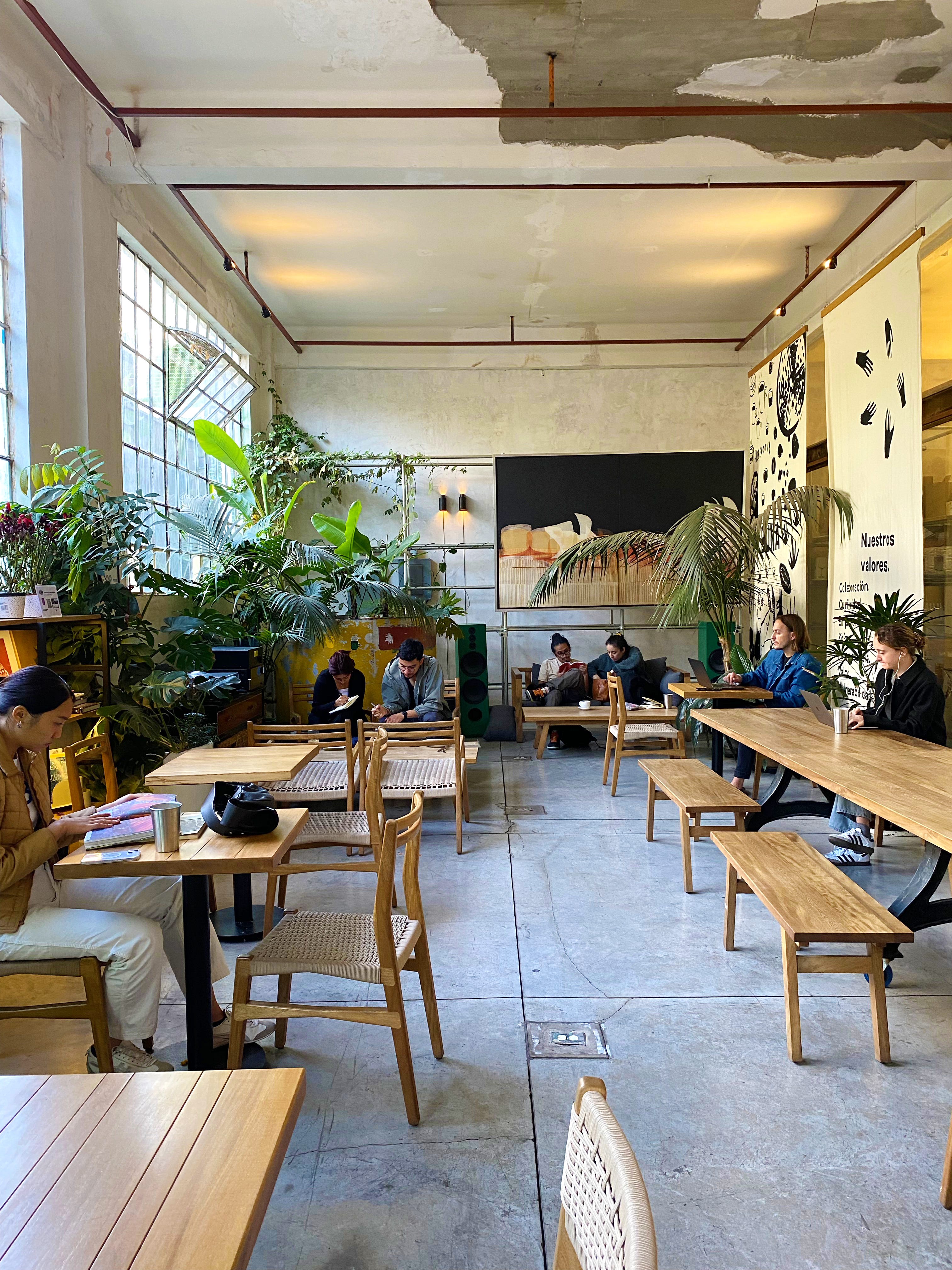 O café mais escondido (e mais legal) que encontrei na Cidade do México